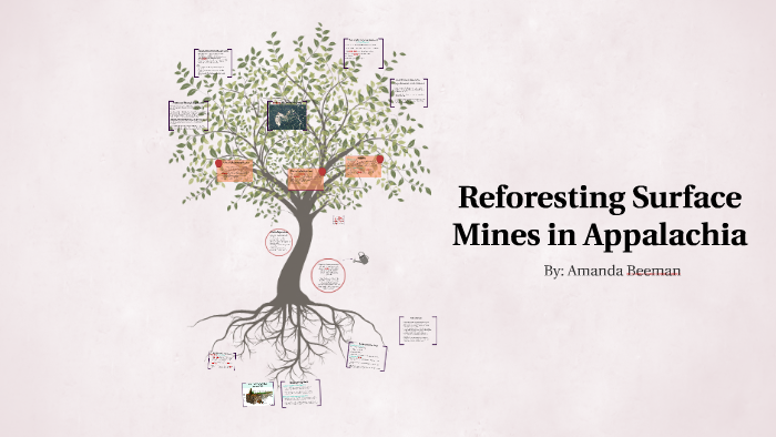 Reforesting Surface Mines in Appalachia by Amanda Beeman on Prezi