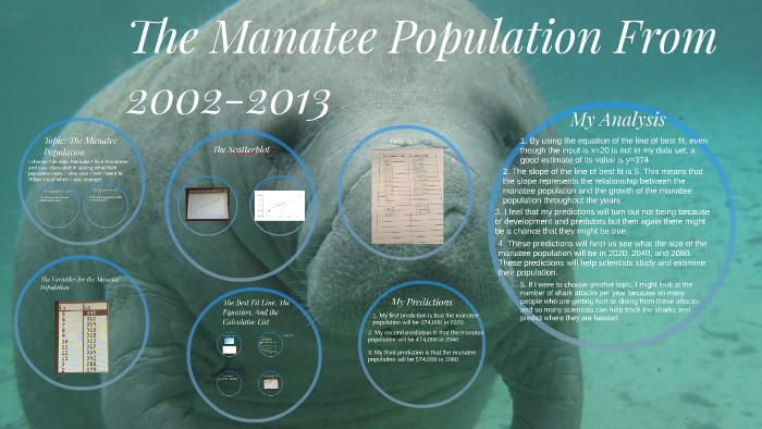 The Manatee Population by Sarah White on Prezi