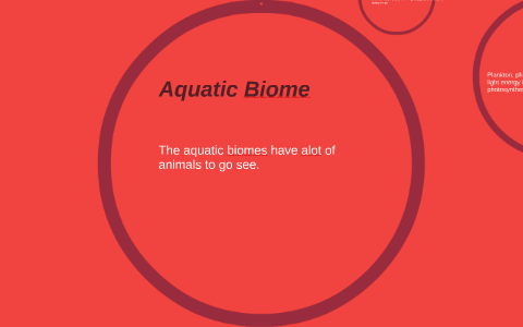 Aquatic Biome by Brayden Haynes on Prezi