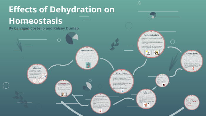 Effects of Dehydration and Homeostasis by Carrigan Costello on Prezi