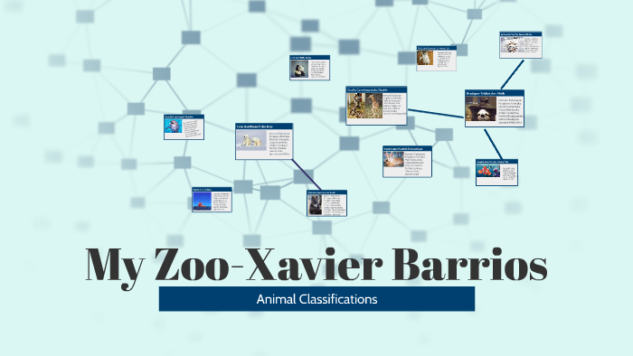 My Zoo-Xavier Barrios by Xavier Barrios