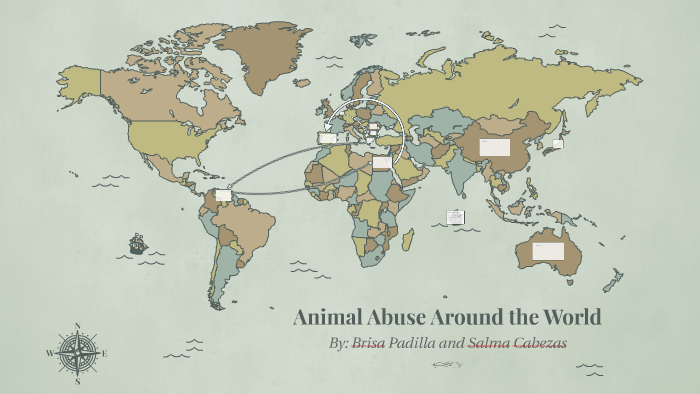 Animal Abuse Around the World by Brisa Padilla on Prezi