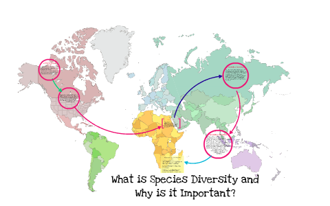 What is Species Diversity and Why is it Important? by Rymarkable Huston ...