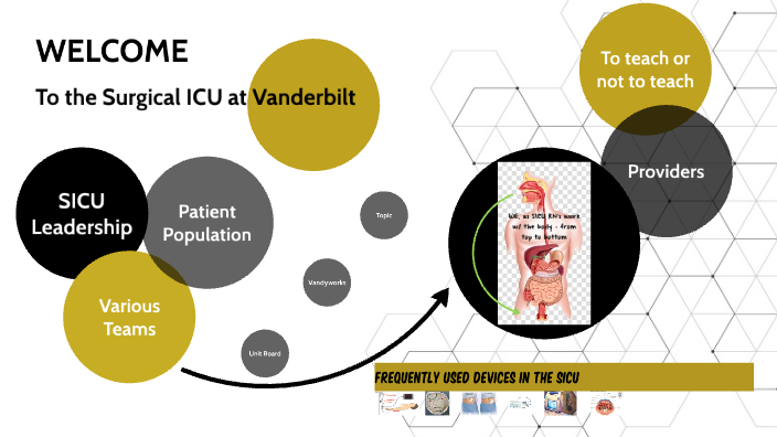 SICU by Savannah Jenkins on Prezi