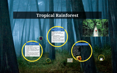 Biome Project/Travel Brochure by Laynee Gander on Prezi