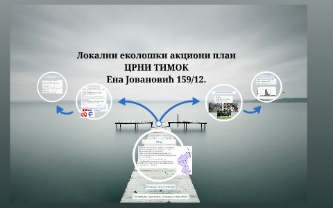 LEAP CRNI TIMOK by Ena Jovanovic on Prezi