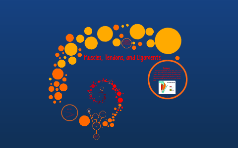 Muscles, Tendons, and Ligaments by Sean Sisco on Prezi