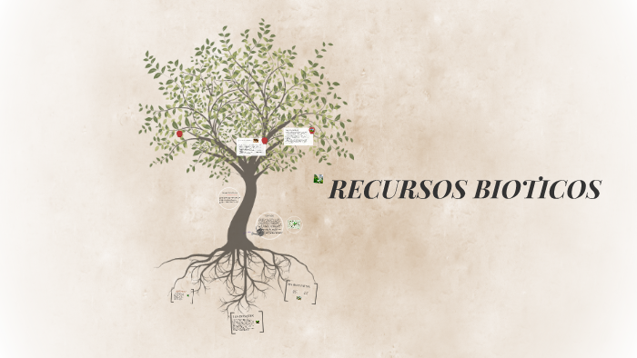 RECURSOS BIOTICOS by Cristhian Sanchez on Prezi