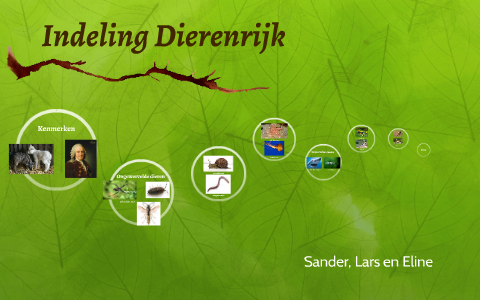 Indeling Dierenrijk by Eline Hulst on Prezi