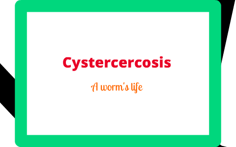 Cystercercosis: a worm's life by Alicia Layman on Prezi