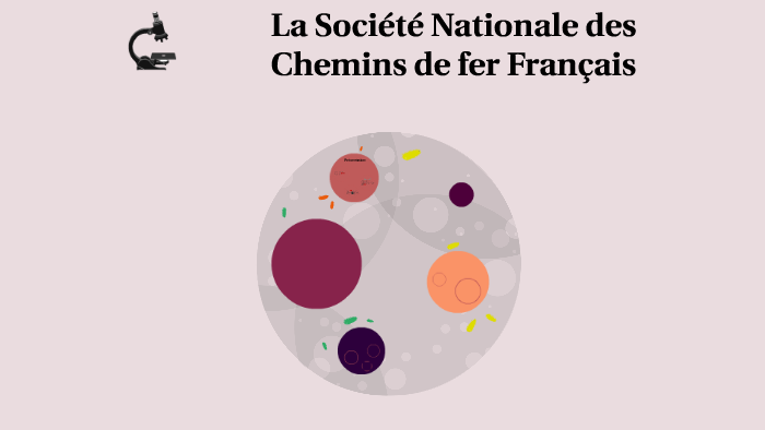 La Société Nationale des Chemins de fer Français by cyrielle chognard ...