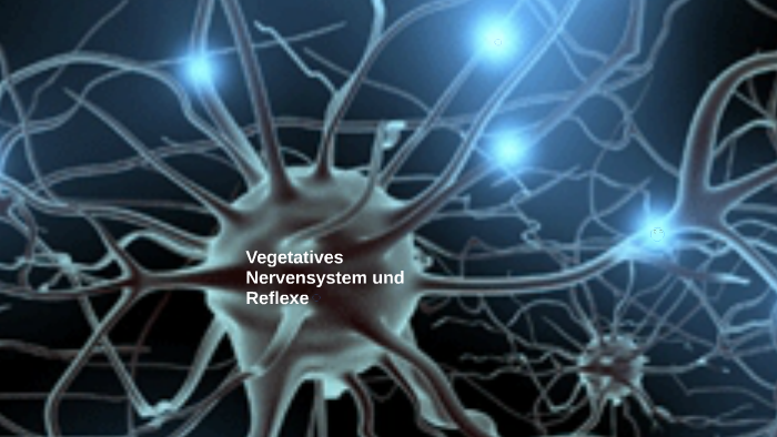 Vegetatives Nervensystem und Reflexe by Olaf Brolaf on Prezi
