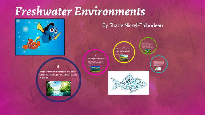 Freshwater Enviroments by Shane Nickel-Thibodeau on Prezi