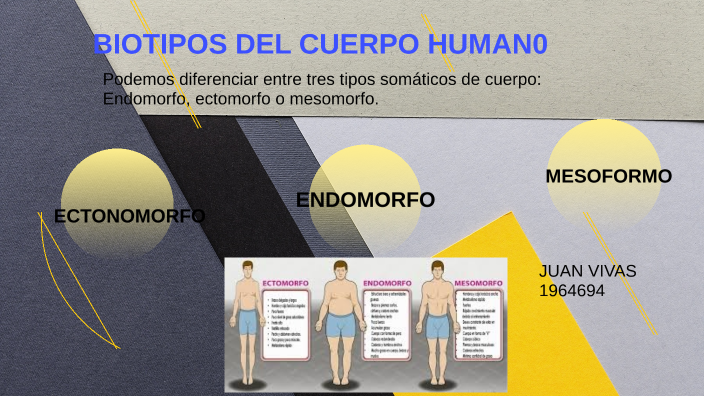 biotipos del cuerpo humano by juan david vivas serrato on Prezi