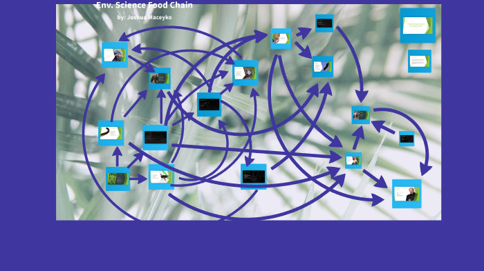 Environmental Science Food Web 3rd Hour by Joshua Maceyko on Prezi