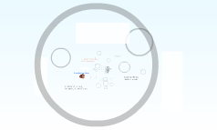 Landonian Ham by Landon Turner on Prezi