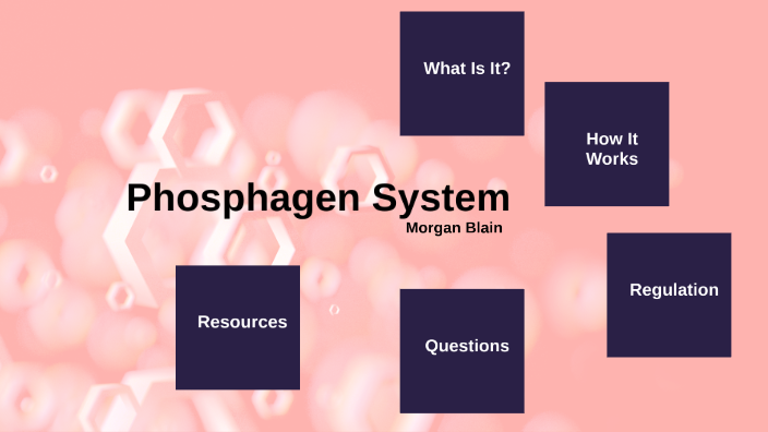Phosphagen System by Morgan Blain on Prezi