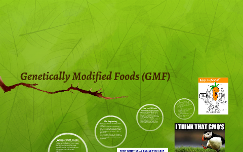 Genetically Modified Foods (GMF) by Ariel Charles on Prezi