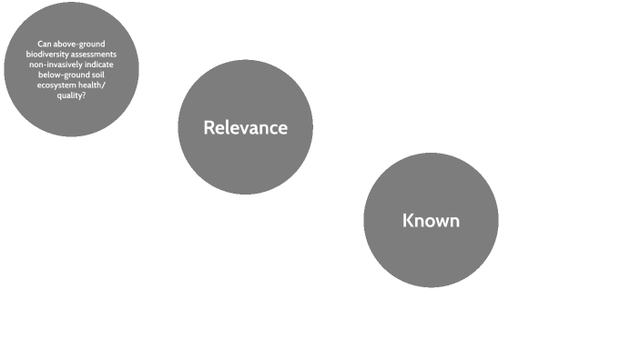 Above/Below Concept Mapping by Cath Jarrett Kemp on Prezi