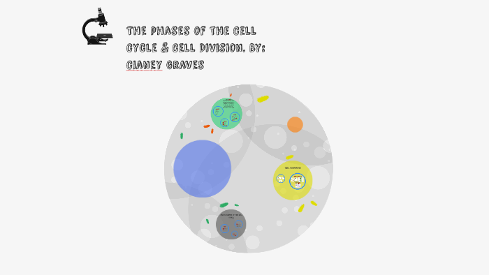 The Explanation of the Cell Cycle & Cell Division. By: Ciane by Cianey ...