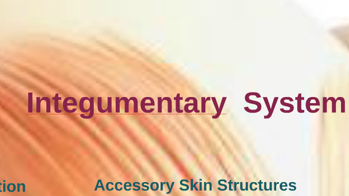 .- Integumentary System by Mercedes Gomez Corzo on Prezi