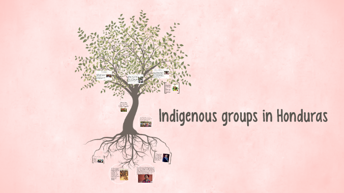 Indigenous groups in Honduras by Paula Augustinus on Prezi