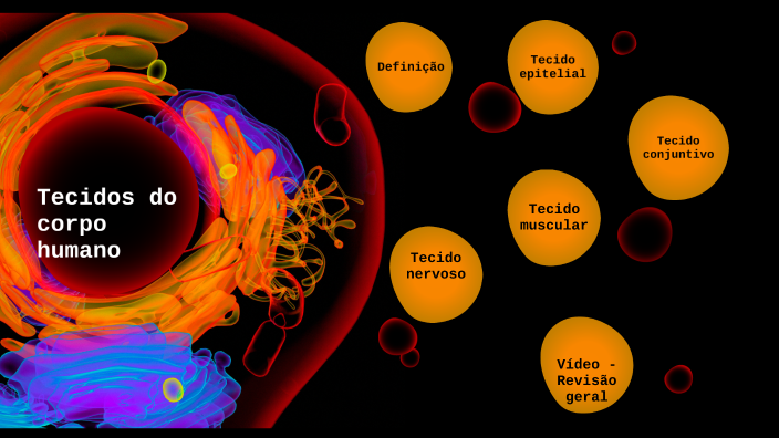 Tecidos do corpo humano by TATIANA NAVARRO on Prezi