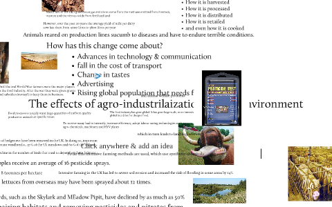 The effects of agro-industrialization on the environment by tom rains ...