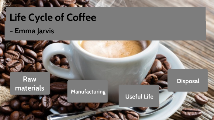 Life cycle of coffee by Emma Jarvis