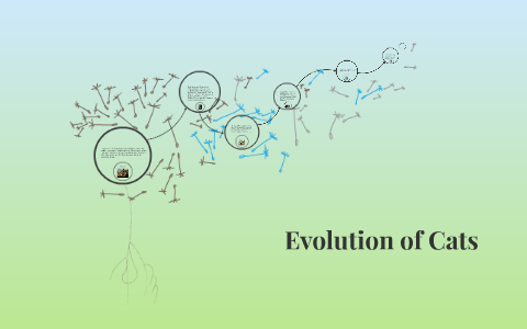Evolution of Cats by Stephanie Doe on Prezi