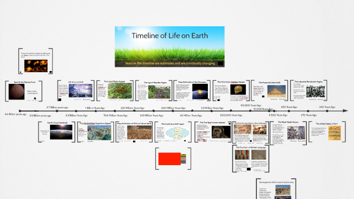 Timeline of Life on Earth by Jane Constantino on Prezi
