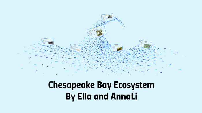 Chesapeake Bay Ecosystem by ella no on Prezi