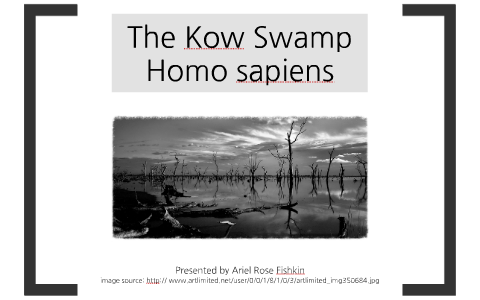 The Kow Swamp Homo sapiens by ariel fishkin on Prezi