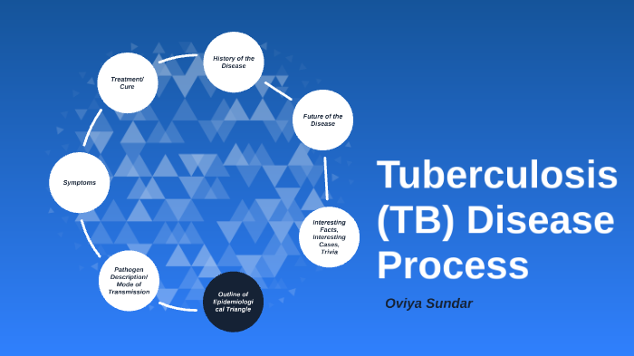 Tuberculosis Disease Process by Oviya Sundar on Prezi