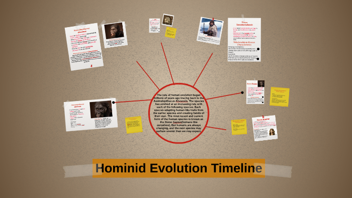 Hominid Evolution Timeline by Katie Mcintosh on Prezi