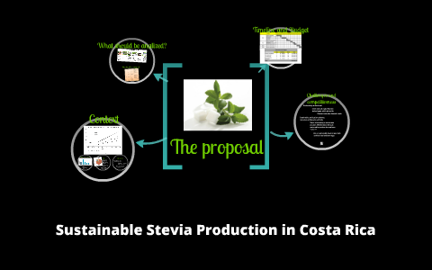 Sustainable Stevia a proposal by Andres Guevara on Prezi