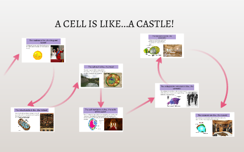 A CELL IS LIKE...A CASTLE! by Taylor Godbold on Prezi