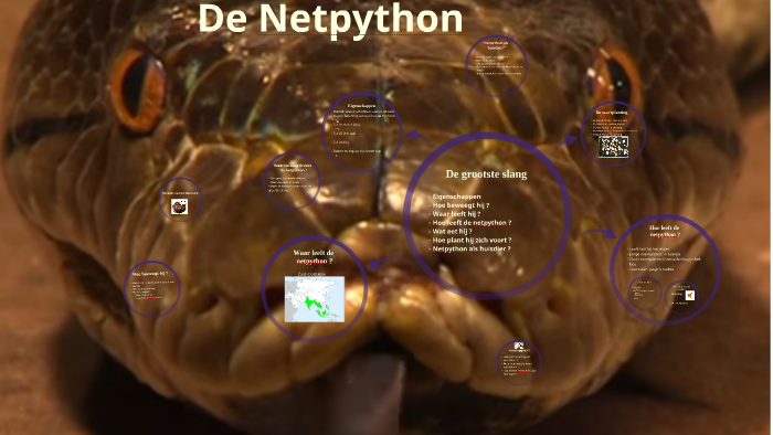 NetPython by Toon Simon on Prezi