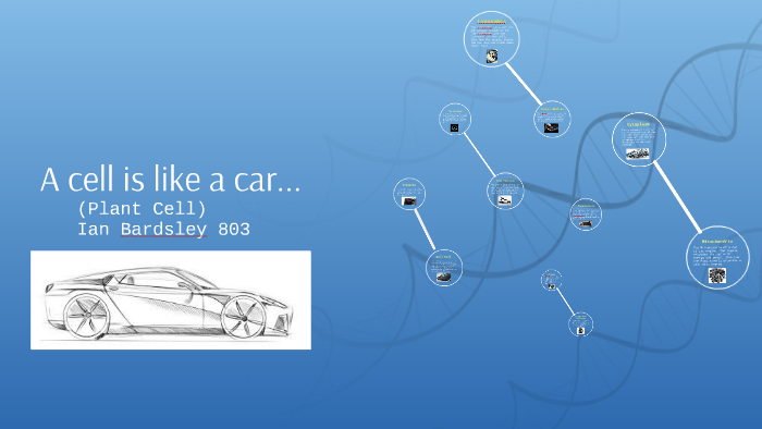 A cell is like a shoe... by Ian Bardsley on Prezi