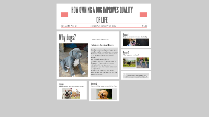 WHY TO GET A DOG by Alexandra Pop on Prezi