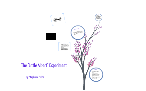The "Little Albert" Experiment by Steph P on Prezi