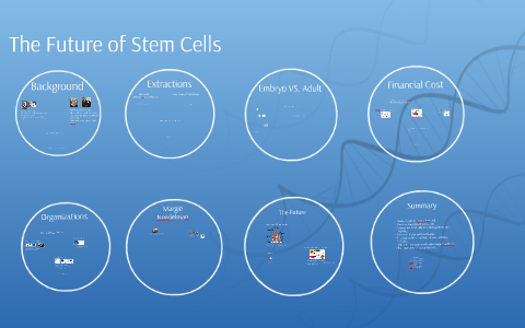 The Future of Stem Cells by Joel Duran on Prezi