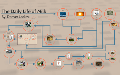 How Milk is Made by Denver Lackey on Prezi