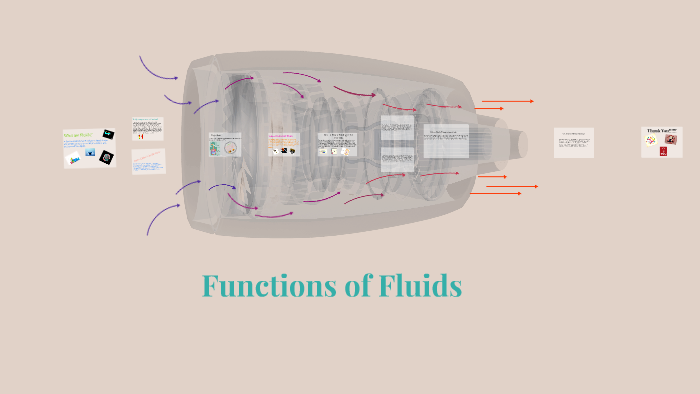 Functions of Fluids by Bushra Dahir on Prezi