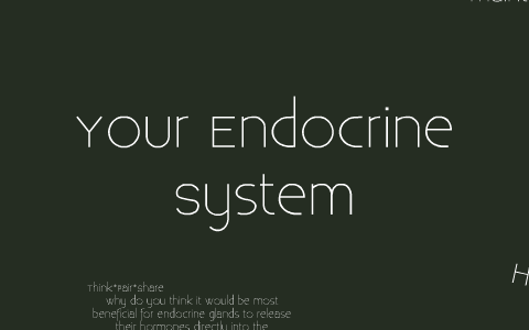 The Endocrine System by Lisa Leininger on Prezi