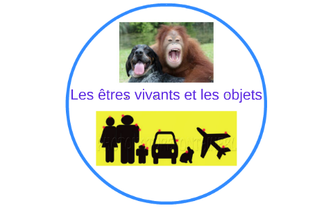 Les êtres vivants et les objets by Clément Yonta Ngouné on Prezi