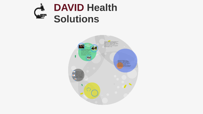 DAVID Health Solutions by Mari Kononova on Prezi