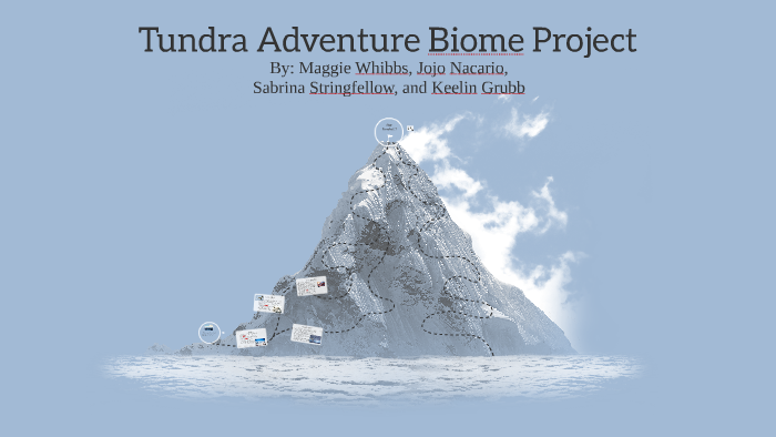 Tundra Biome Presentation by maggie whibbs on Prezi