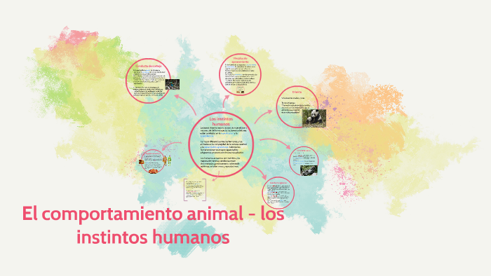 El comportamiento animal - los instintos humanos by Laura Alabarta on Prezi