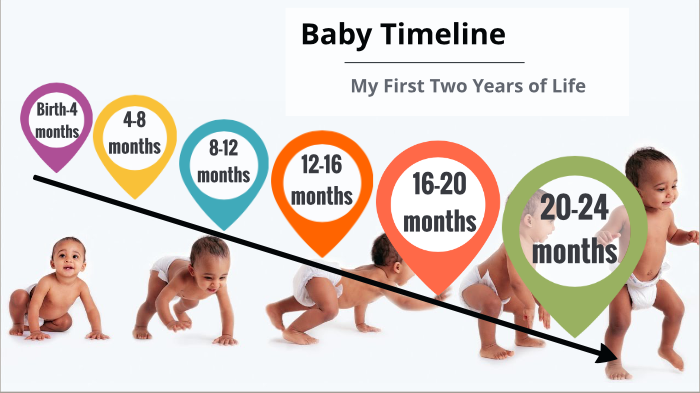 baby timeline by sterling lauritzen on Prezi
